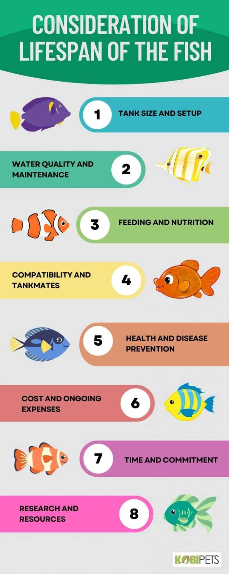What You Need to Know Before Adopting a Fish - Kobi Pets