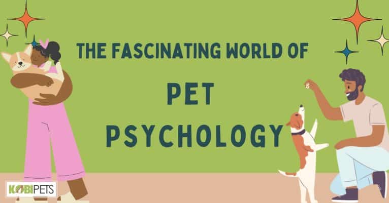 The Fascinating World of Pet Psychology - Kobi Pets