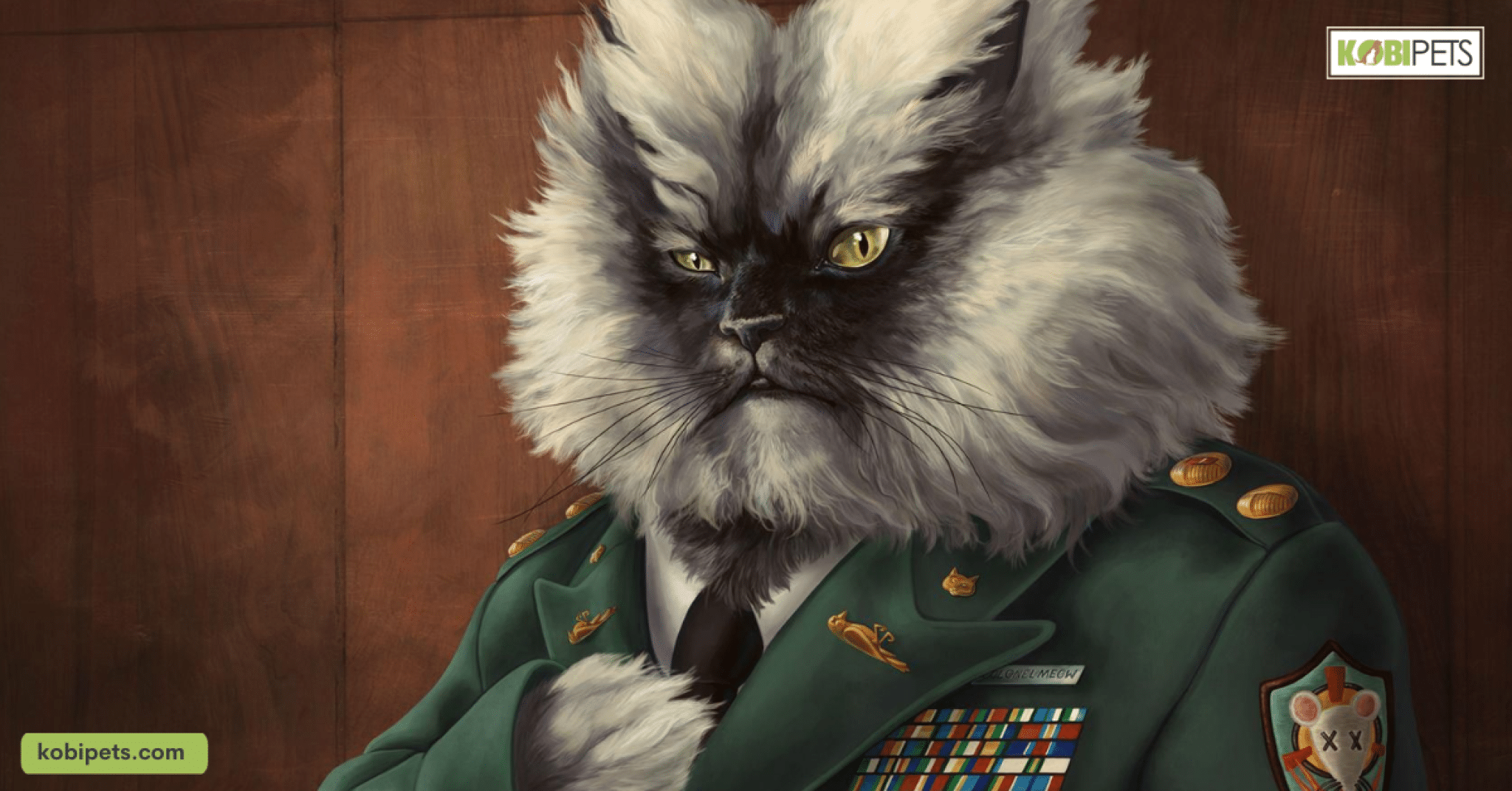 The 10 Most Famous Cats on the Internet - Kobi Pets